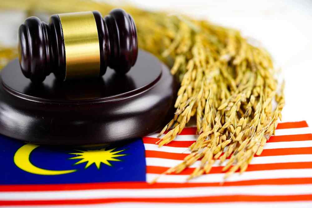 Impact of MACC Act Section 17A on Organisations
